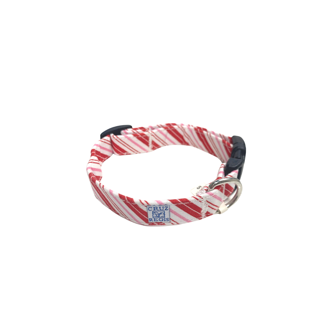 Cruz & Regis Collar - Snowball | Gabrielle's Biloxi